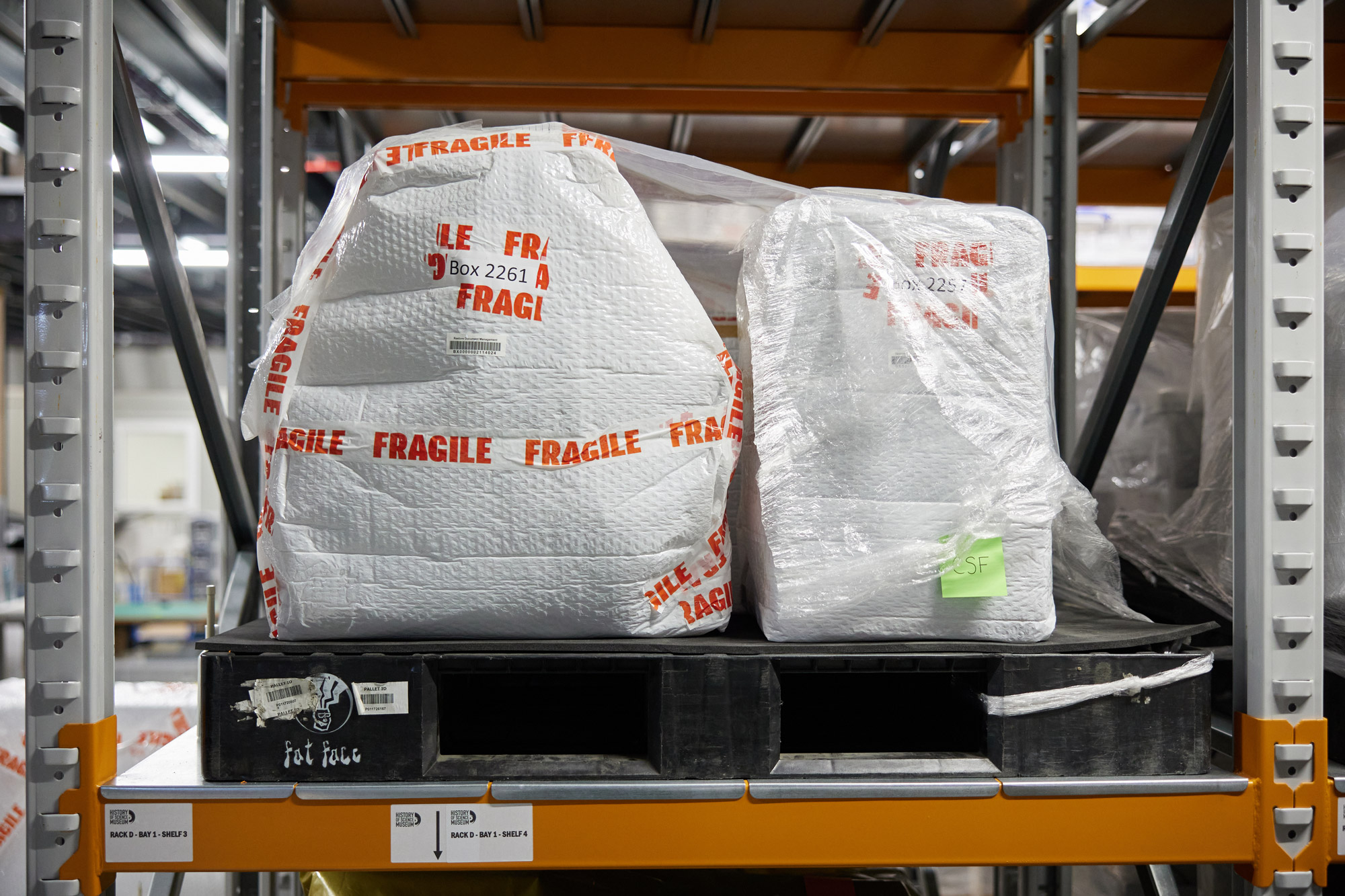 From Audit to Repacking: Major collections move project reaches ...