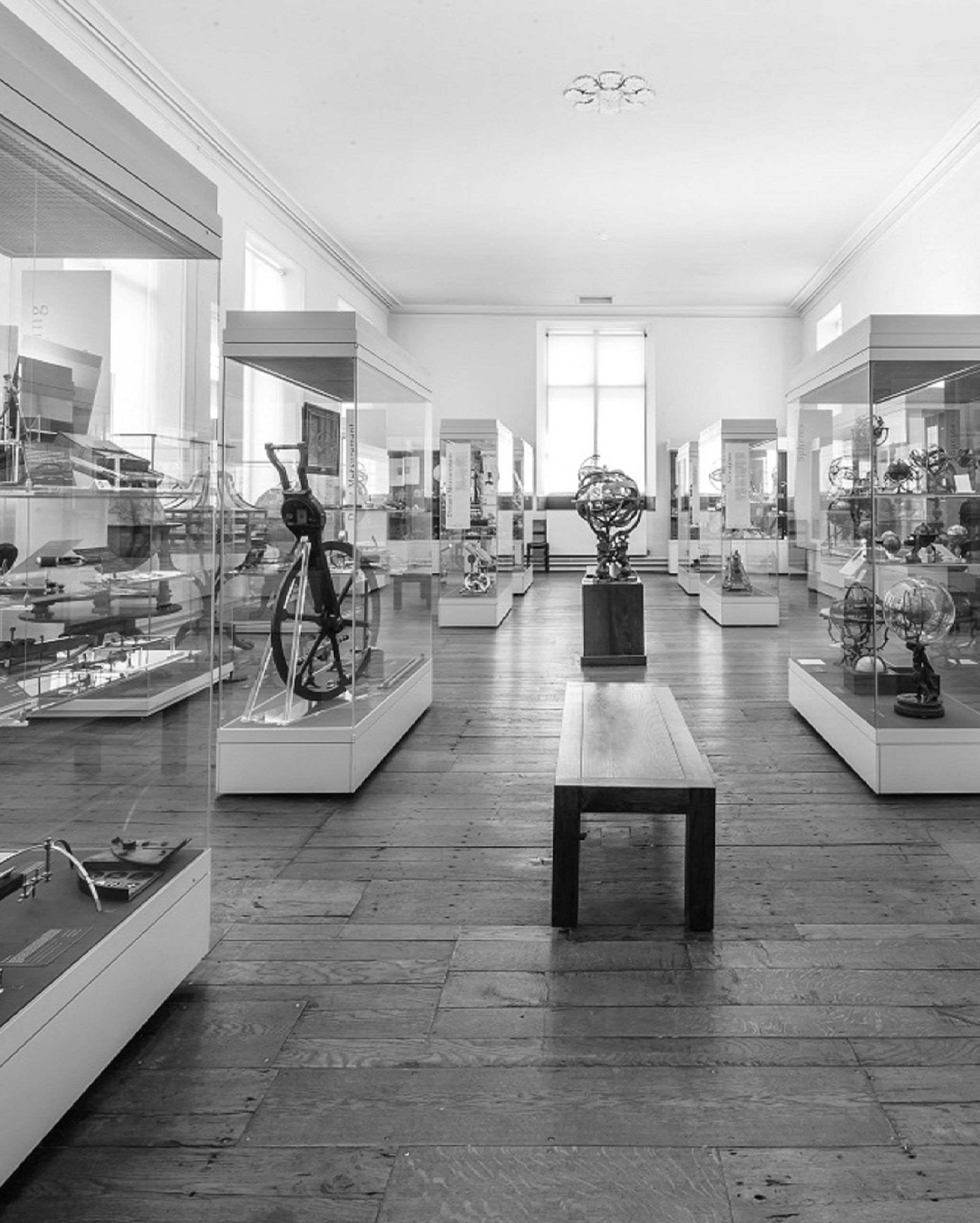 Miranda Millward | Gardens, Libraries & Museums