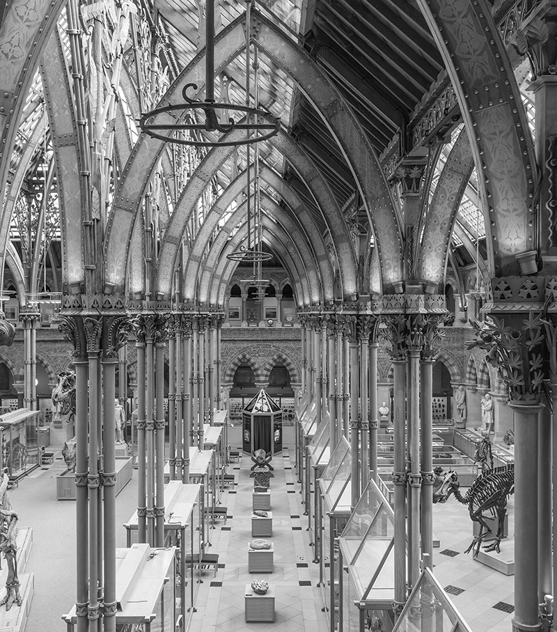 Joy Todd | Gardens, Libraries & Museums