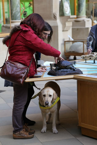 Touch Tours for the Blind and Partially Sighted | Gardens, Libraries ...