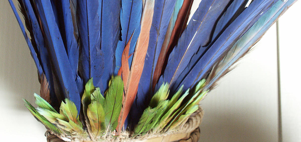Biocultural knowledge, power and poetics in South American featherwork ...