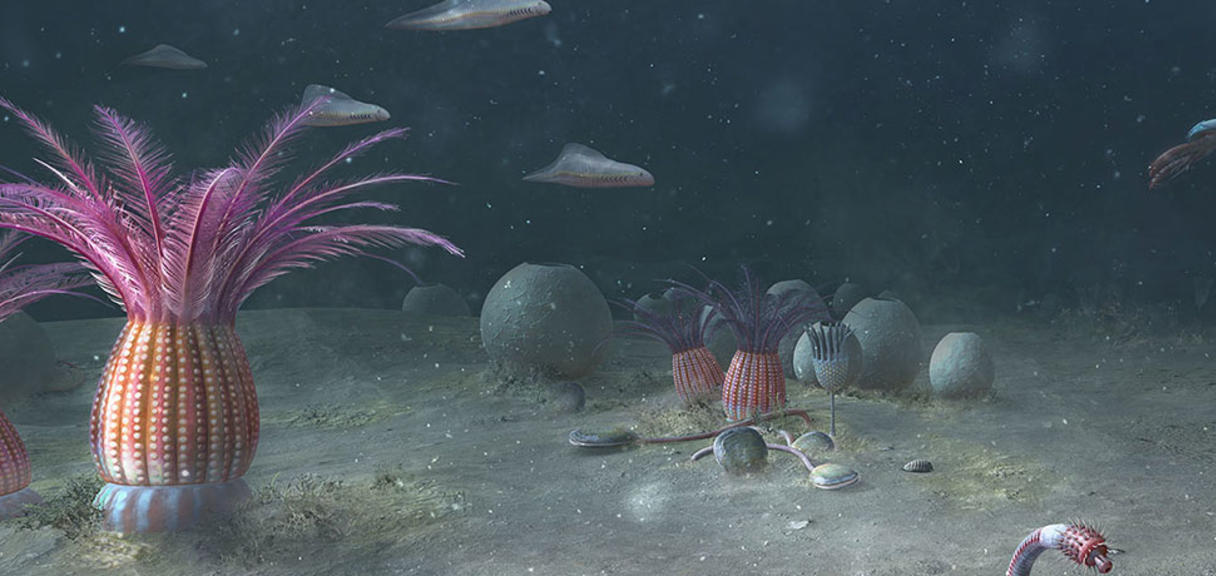 First Animals | Gardens, Libraries & Museums