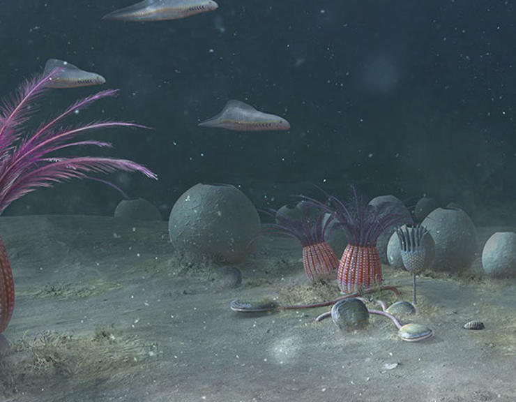 First Animals | Gardens, Libraries & Museums