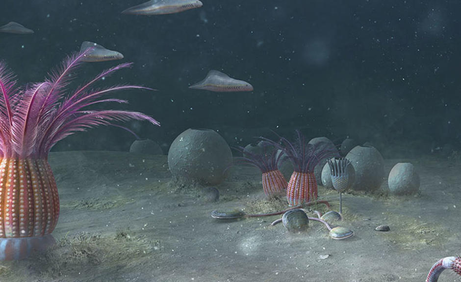 First Animals | Gardens, Libraries & Museums