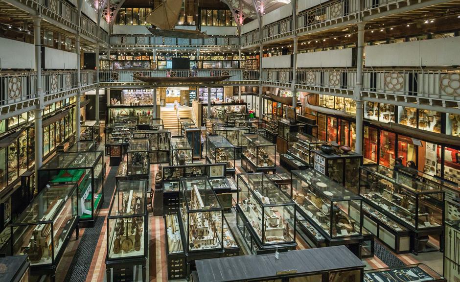 Pitt Rivers Museum | Gardens, Libraries & Museums